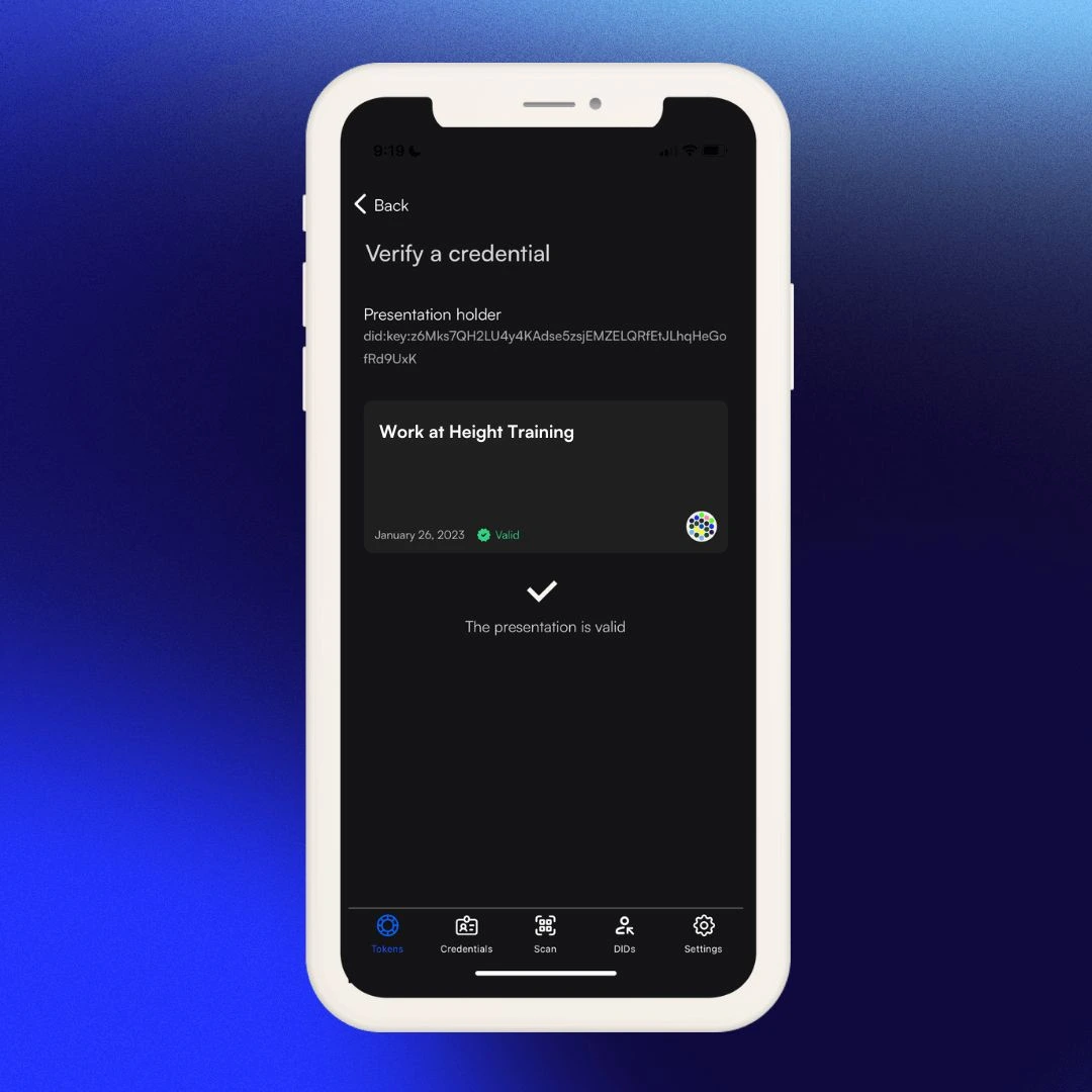 Blockchain Verification Instant Secure And Efficient